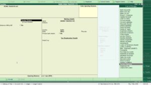 Ledger Creation Examples in Tally ERP 9 – Training By Himanshu