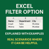 Excel Filter Option: Detailed Explanation with Examples – Training By Himanshu